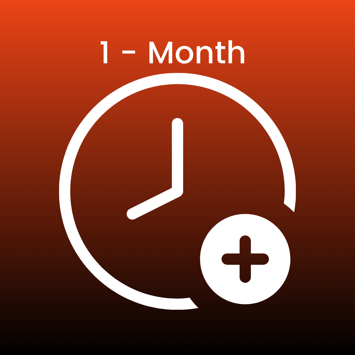 1- Month Course Extension – Level Flight